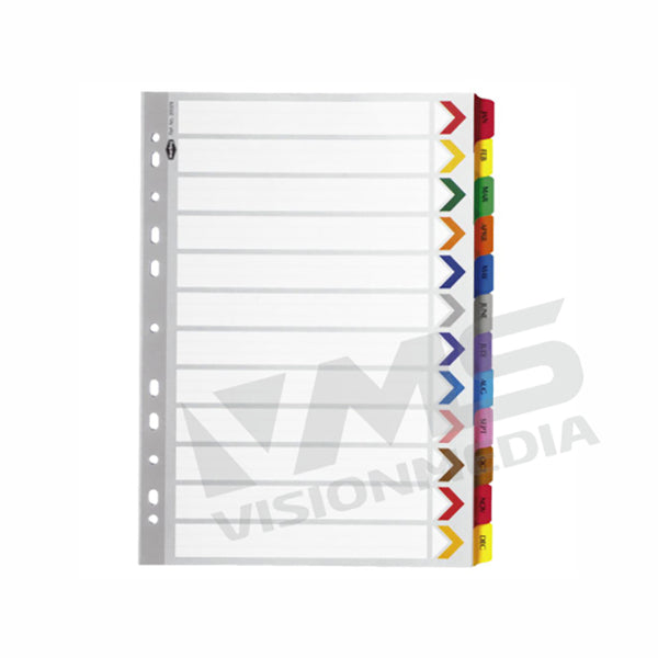 PLASTIC JAN - DEC COLOUR INDEX DIVIDER (905-12) (1 SET / PACK) | Vision ...